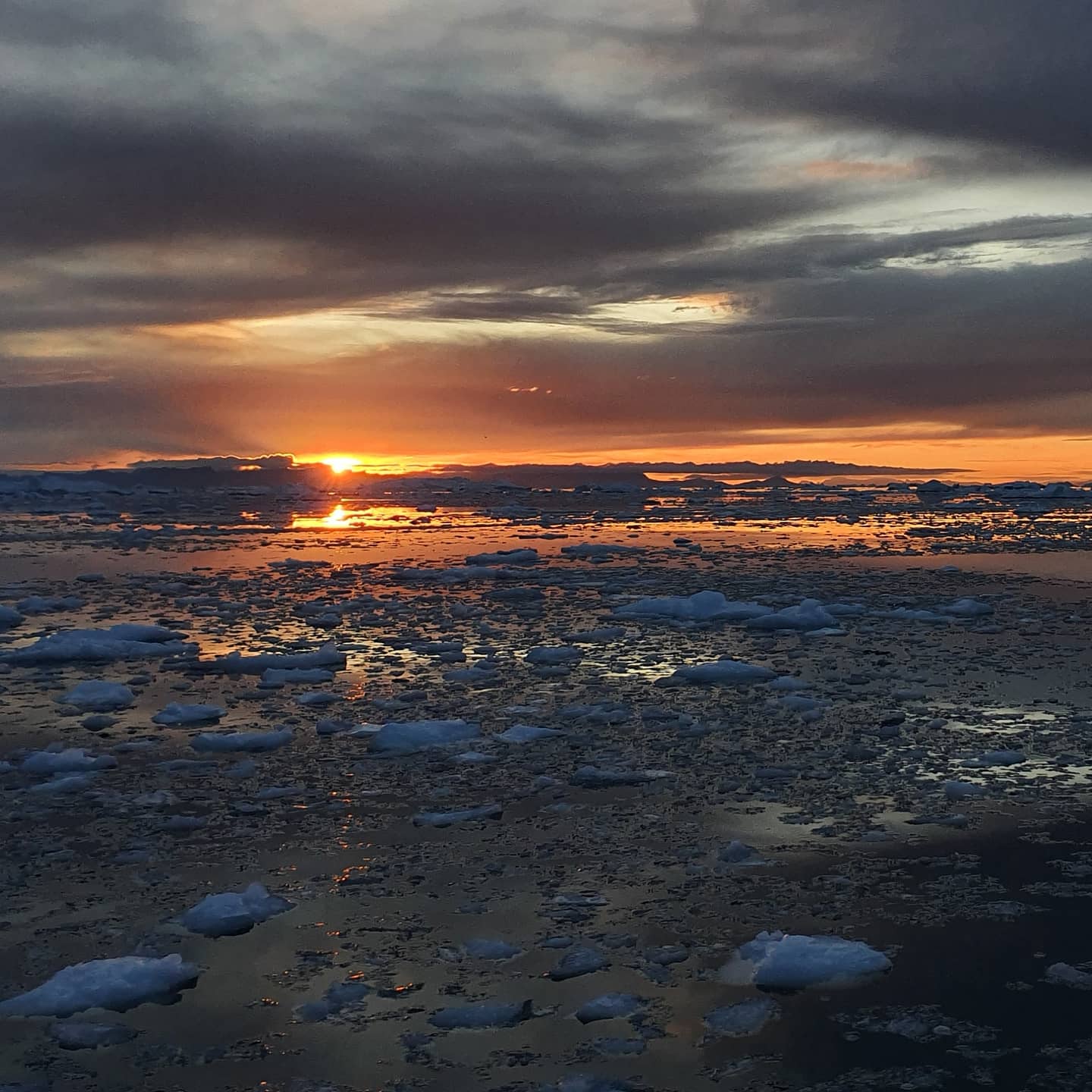 GREENLAND IN THE SUMMER - Greenland Ruby